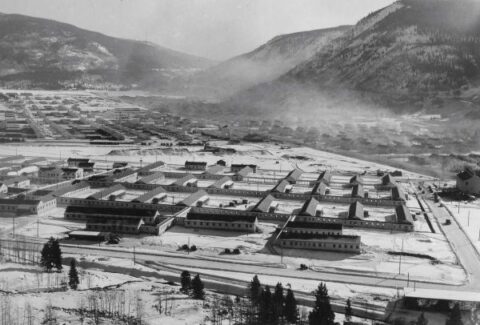 From Camp Hale to Combat: The Story of the 10th Mountain Division ...