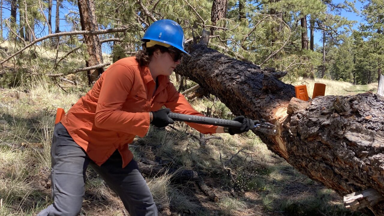 Volunteer Opportunities with CDTC