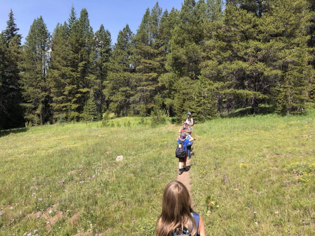 Youth Trail Stewardship on the CDT - Continental Divide Trail Coalition
